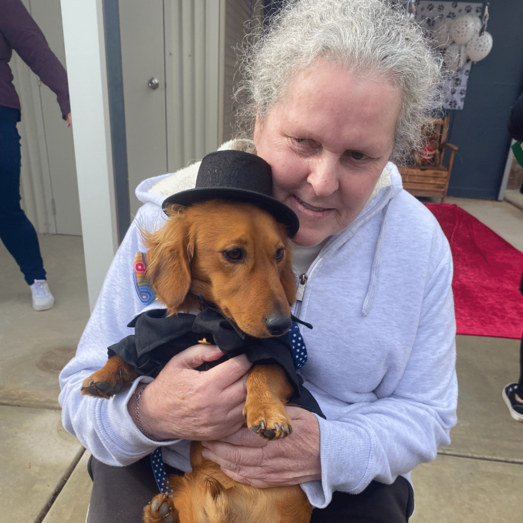 National Dachshund Day 🐾 - Kurrajong